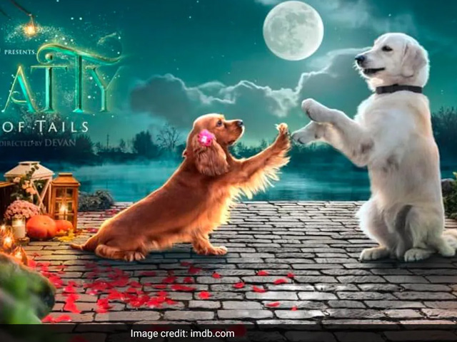 'Valatty - Tale Of Tails': A Unique Love Story Of 2 Dogs