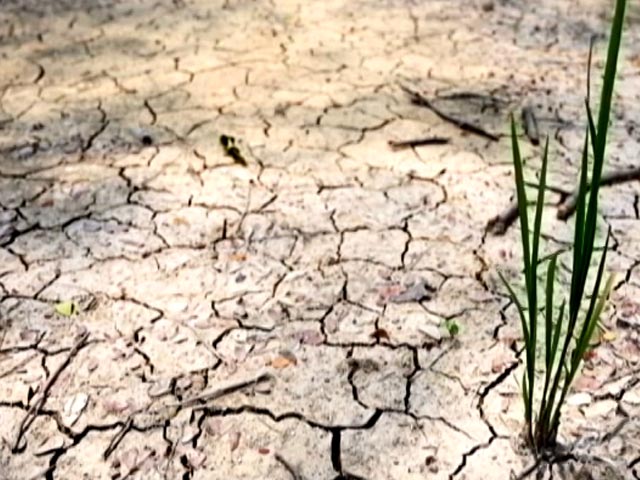 Rainfall To Pick Up From September 4 After Driest August Ever: Official