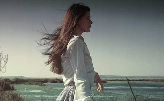 Balo Ko Dry Hone Se Kaise Bachayen Banana For Dry And Rough Hair If You ...