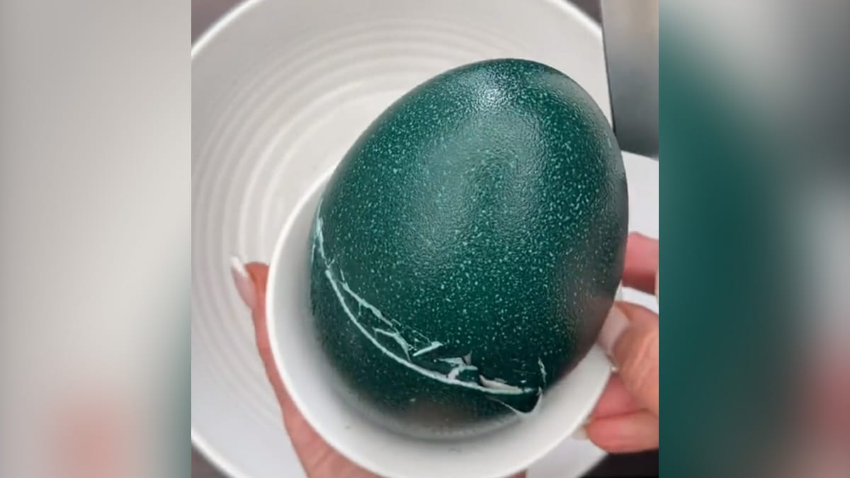 This Single Egg Can Feed A Family Of 5-6 Members. Confused? Read On ...