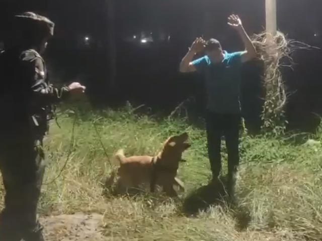 Army Remembers Brave Dog Kent Who Died Saving Soldier From Terrorists