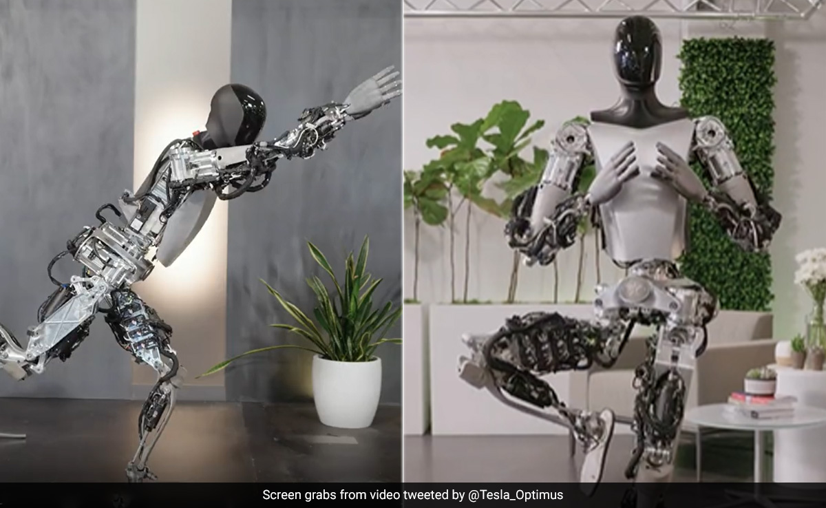 Robot Zombi Rapina