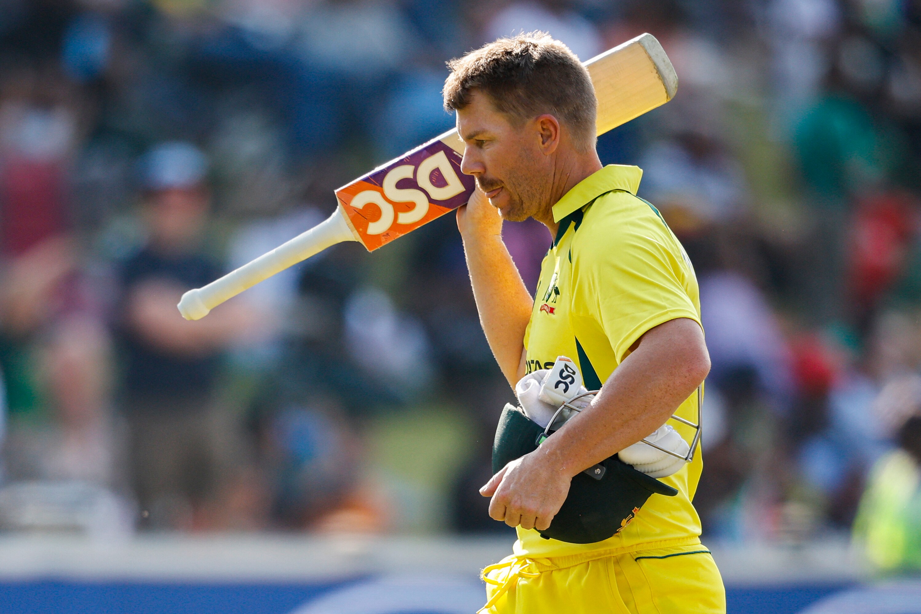 David Warner Profile - Cricket Player, Australia | News, Photos, Stats ...