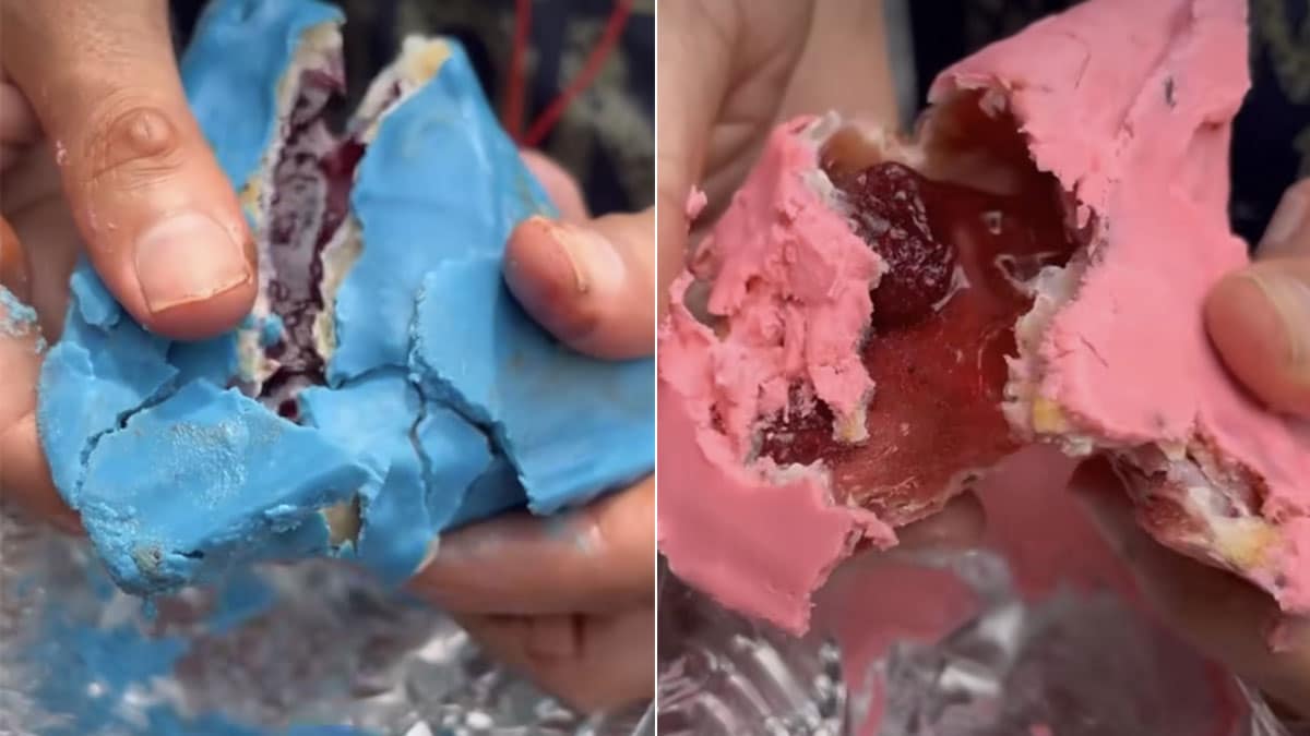 Samosa Stuffed With Strawberry And Blueberry Goes Viral, "RIP" Says ...