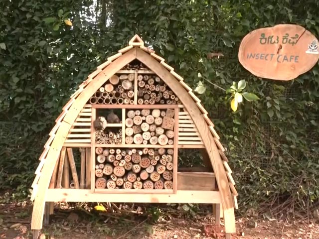 A "Cafe" For Insects In Bengaluru's Botanical Garden