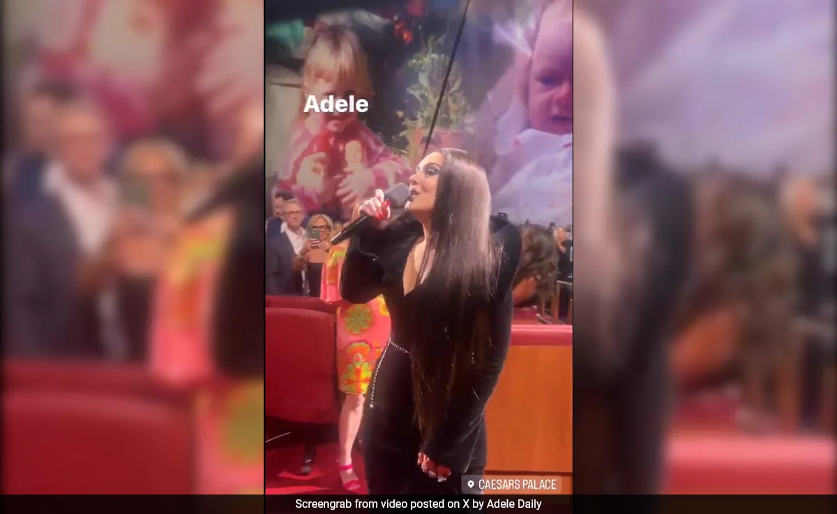 Watch: Adele Stops Concert After Spotting Doctor Who Delivered Her Son
