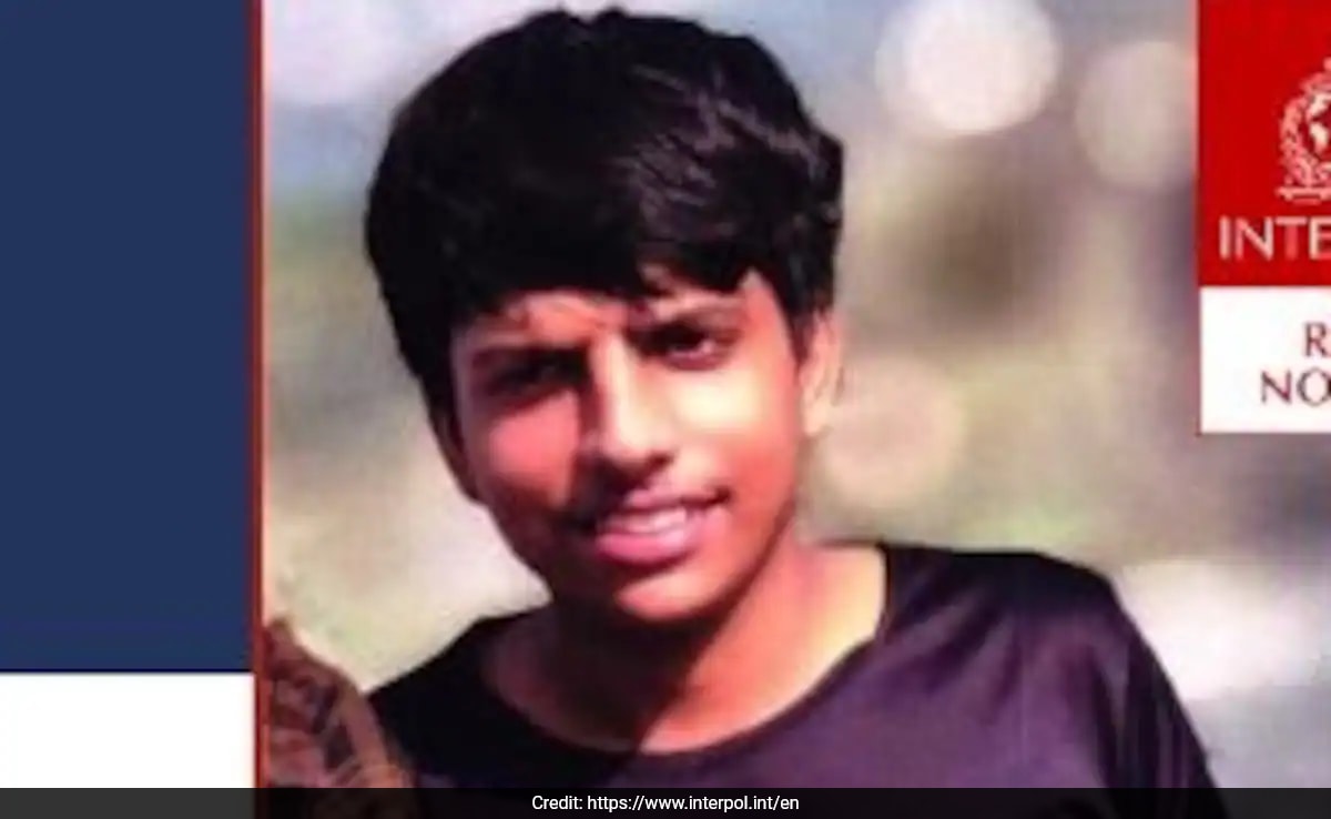 Haryana Gangster, 19, On Interpol Radar, Fled To US Using Fake Passport