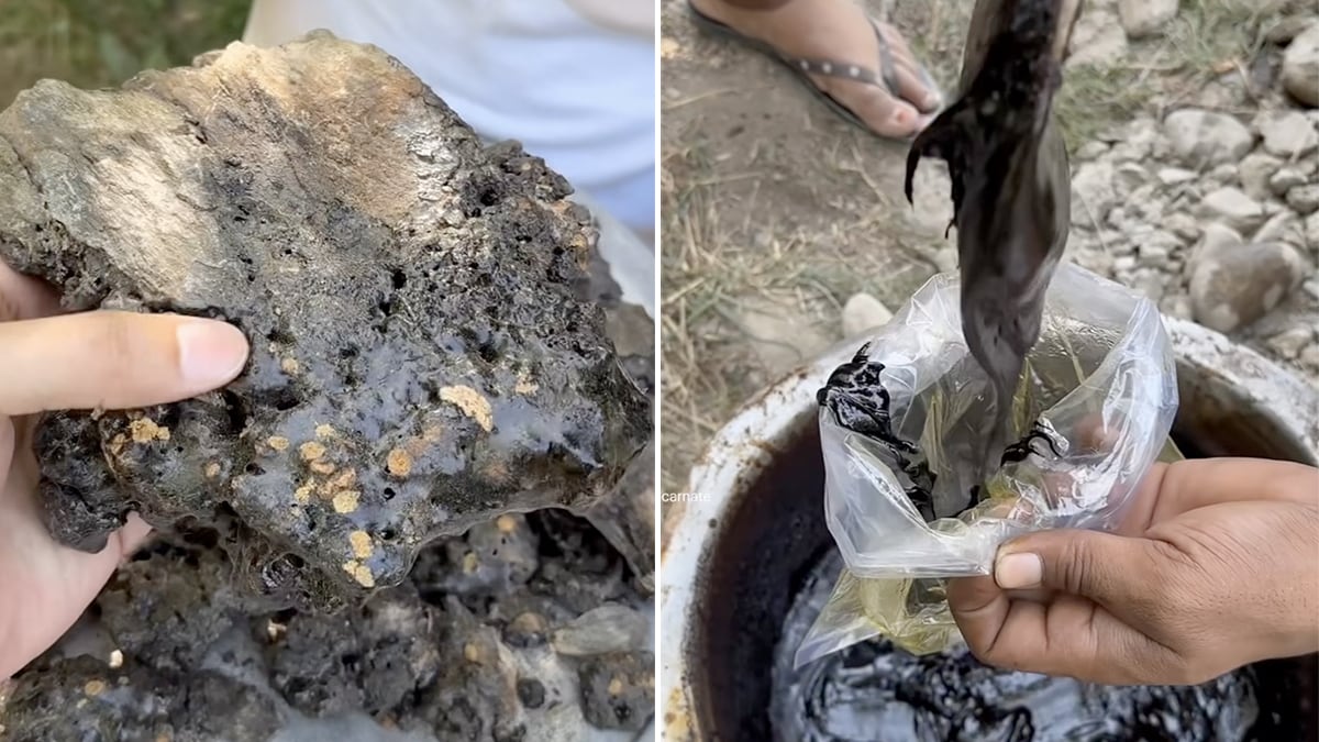 Watch: Viral Video Shows How Shilajit Is Made In The Mountains - NDTV Food