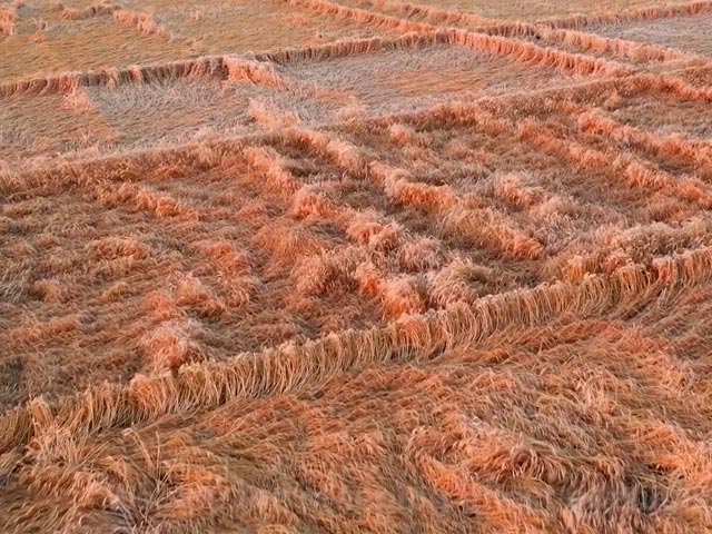 Impact Of Climate Change On Food Security