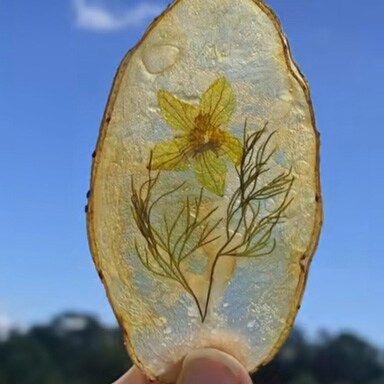 Viral: After Invisible Potato Chips, 'Windowpane Chips' Wow The Internet