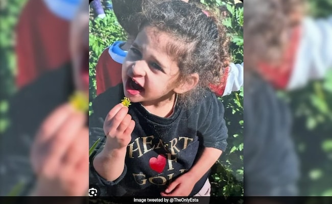 4-Year-Old US Hostage Released By Hamas From Gaza, Says Biden
