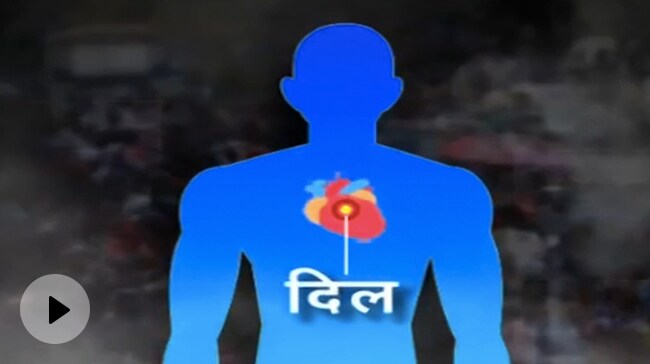 Air Pollution: How Does Air Pollution Harm Which Organs?