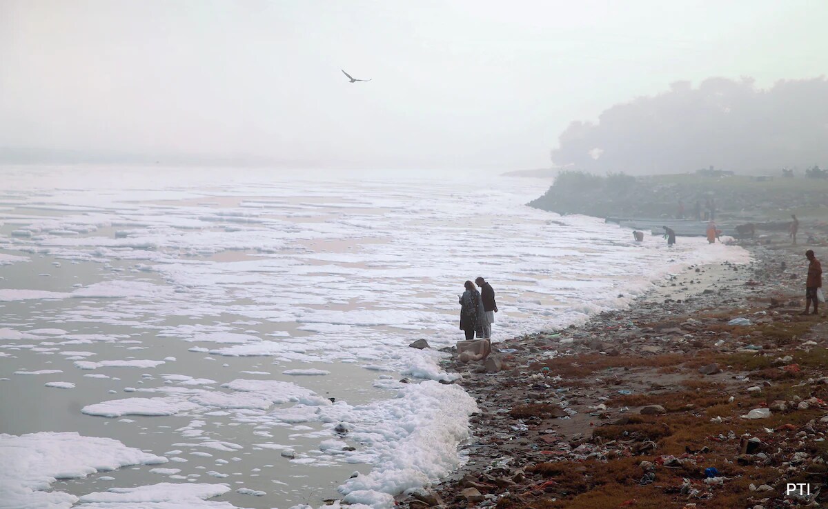 BJP Attacks AAP Over Yamuna Pollution Ahead Of Chhath Puja