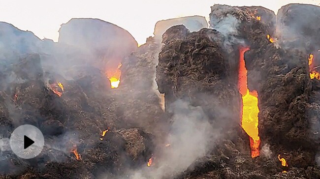 Big Rise In Farm Fires: Why Do Farmers Burn Their Stubble?