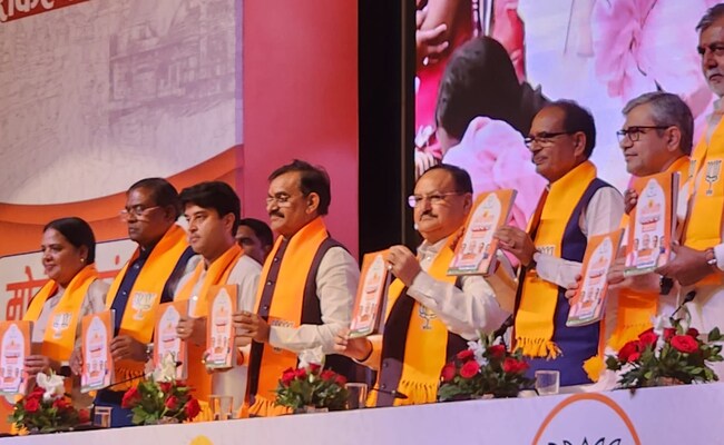 In BJP, Congress Manifestoes For Madhya Pradesh, A Focus On Women, Farmers