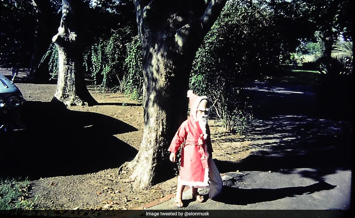 Elon Musk Once Dressed As Santa Claus On Halloween. See Pic