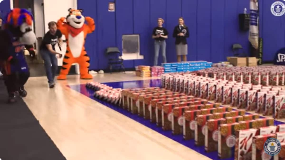 NGO Sets World Record Using Cereal Boxes In Domino Fashion - NDTV Food