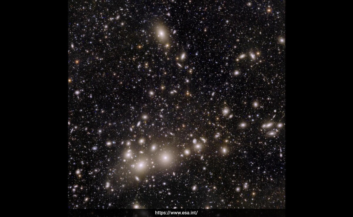 Europe's Euclid Telescope Captures Unprecedented Views Of Deep Space Europe's Euclid Telescope Captures Unprecedented Views Of Deep Space