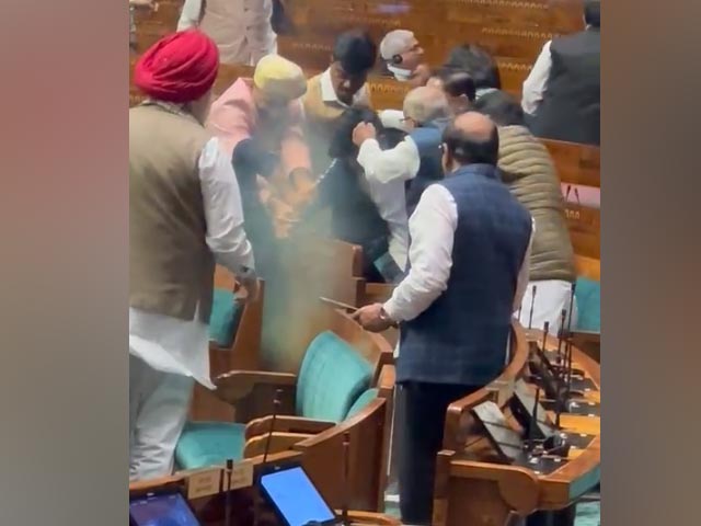 Parliament Security Breach: MPs Beat Up Parliament Intruder