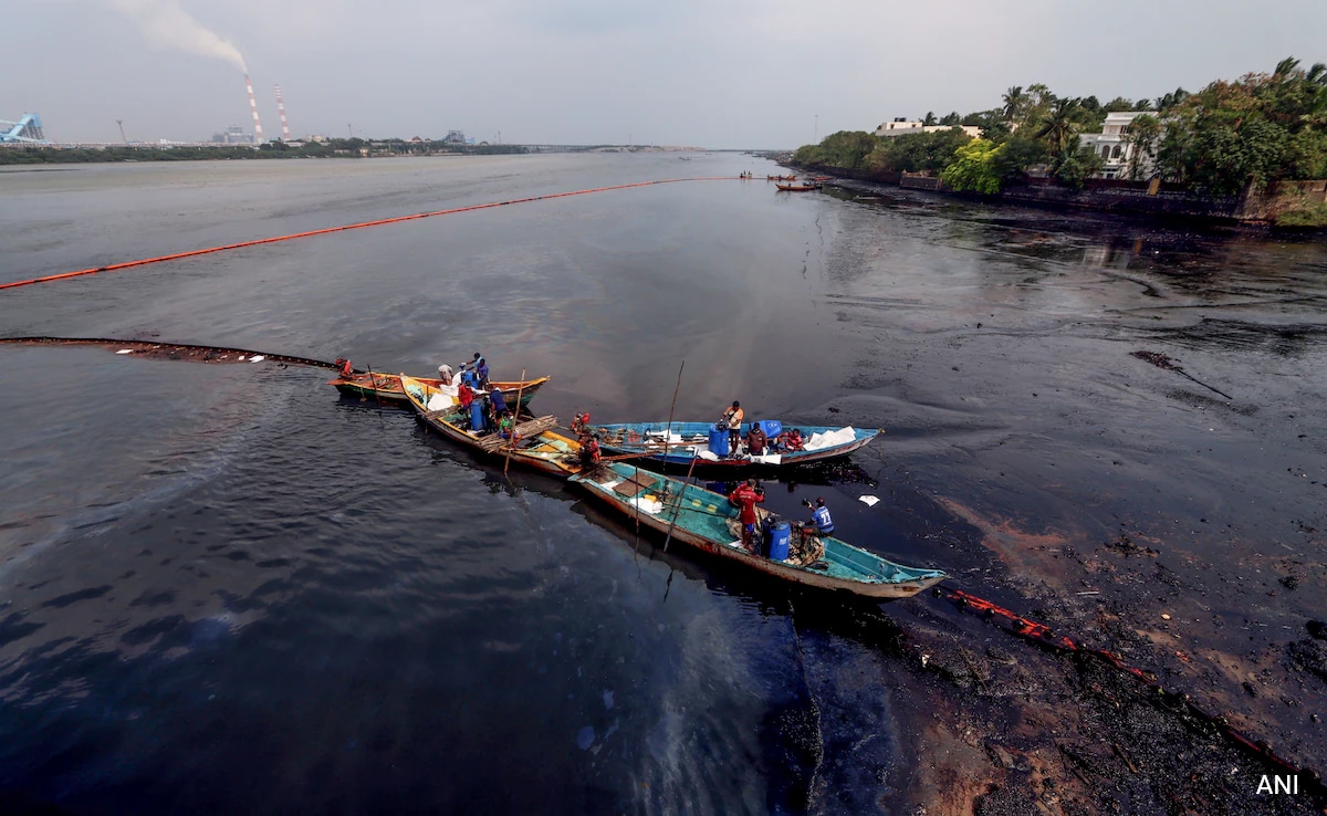 Oil Spill Trapped Inside Chennai's Creek Area: Coast Guard