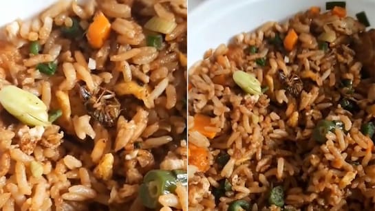 fried cockroach dish