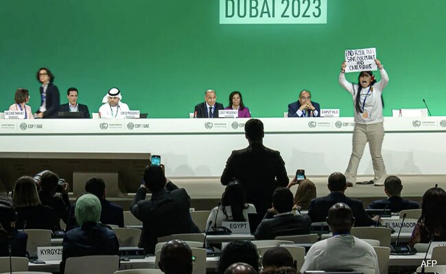 12 Year Old Indian Girl Storms Cop28 Stage Shouts End Fossil Fuels