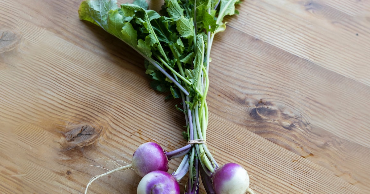 Top 7 Health benefits of eating shaljam turnip in Winters Shaljam khane ke fayde