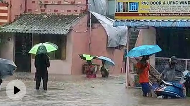 Cyclone 'Michong' Causes Devastation In Many Areas Including Chennai