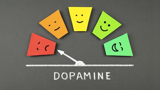 Dopamine Structure Meme