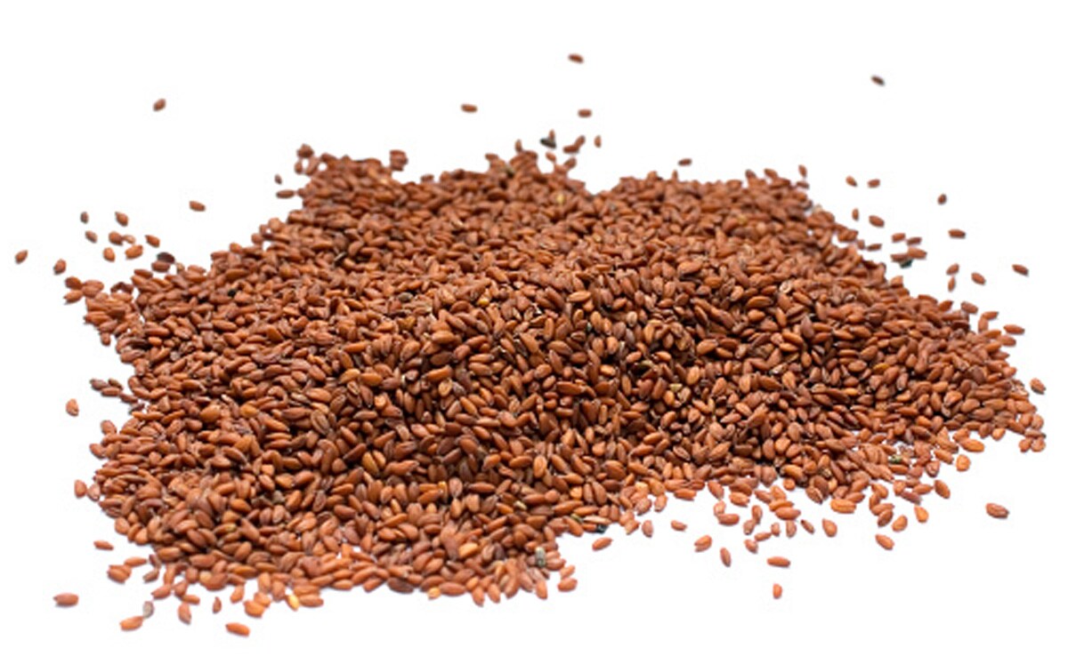 Aliv Seeds | Know All About Aliv Seeds at NDTV Food