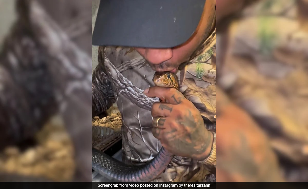 Man Kisses Snake On Head, Helps It Shed Skin. Internet Asks "Why?"