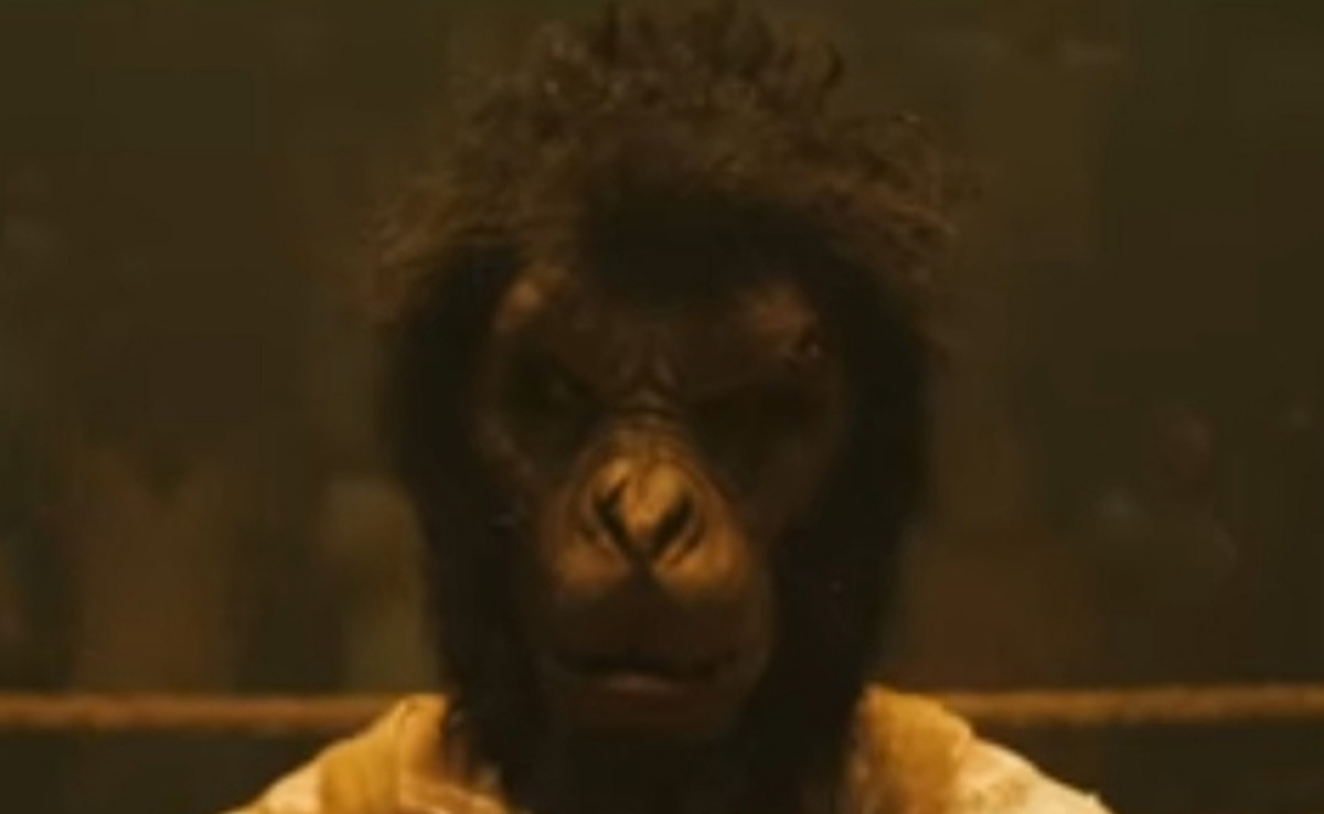 Monkey Man Trailer : मंकी मैन का ट्रेलर हुआ रिलीज, शोभिता धुलिपाला ने ...