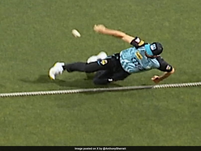 Australia And England Stars Combine For A Sensational Relay Catch In BBL Final. Watch | Cricket News