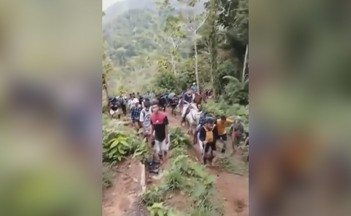 "विदेश भेजने के कौन-कौन से तरीके", एजेंट की जुबानी; पंजाब-हरियाणा में ...