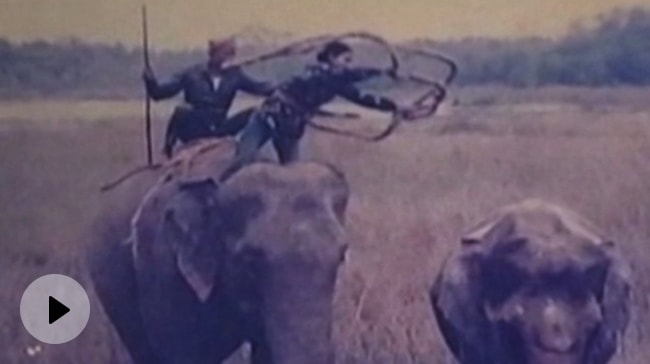 India First Female Mahout Parbati Baruah Was Awarded The Padma Shri Award