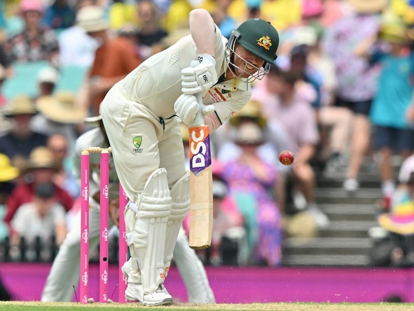 Pakistan Star Reveals How 'Pee Break' Earned David Warner A Lifeline In ...