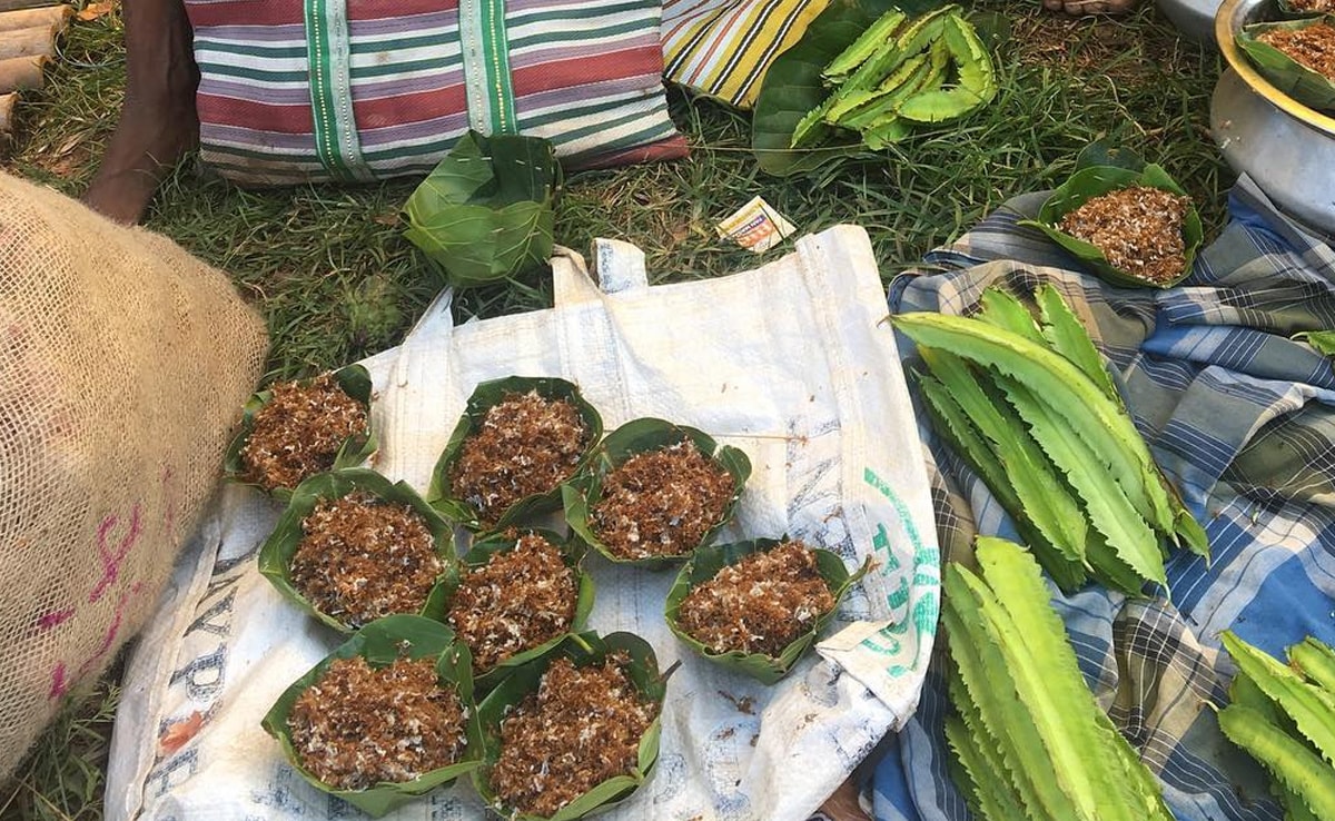 Kai Chutney | Know All About Kai Chutney at NDTV Food