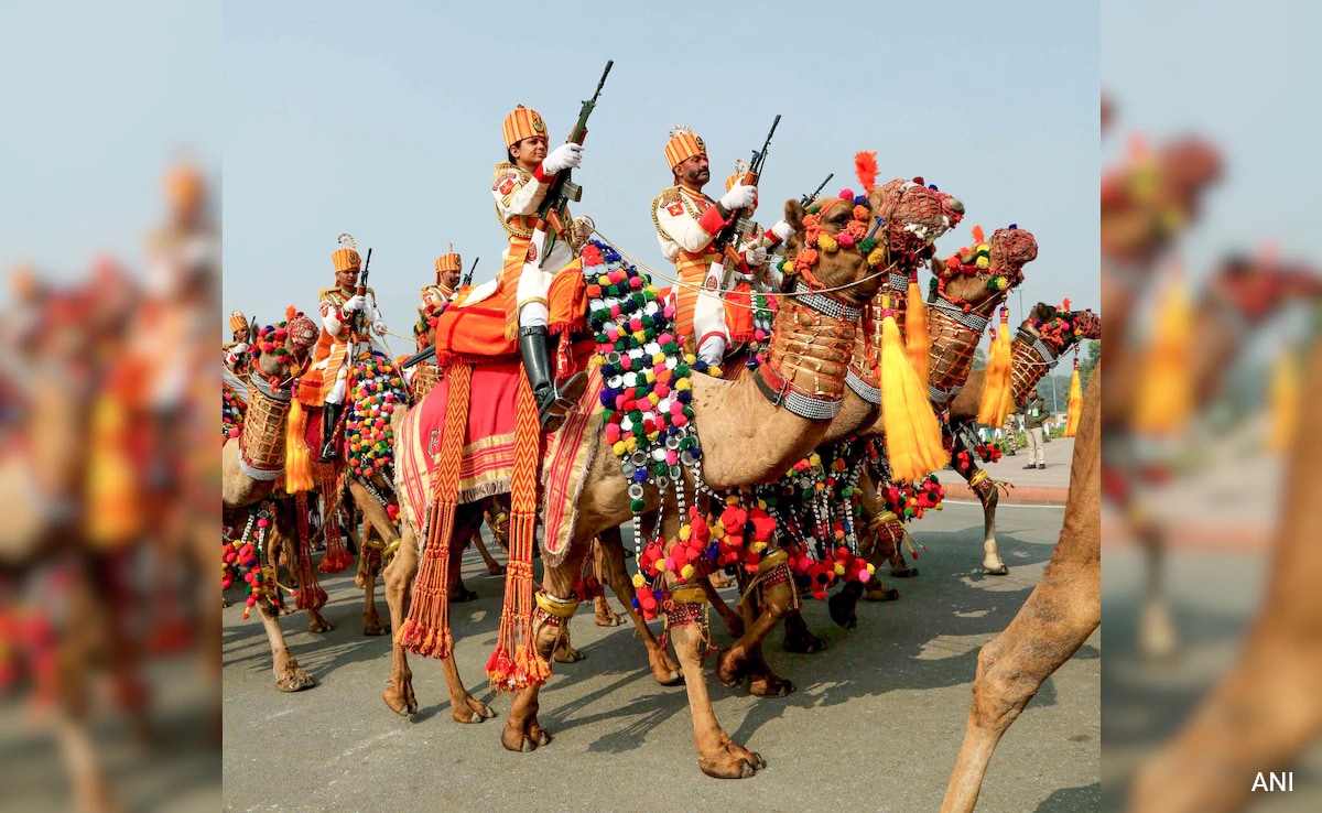 Richly Decorated Border Security Force Camels Add Dazzle To Republic ...