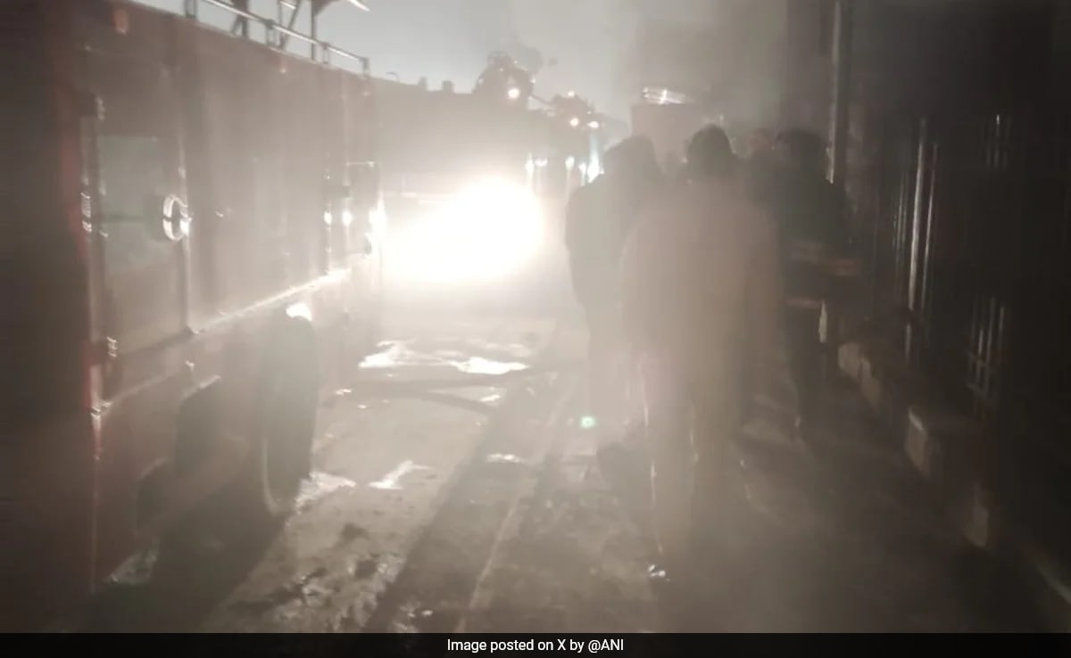 Fire Breaks In Forest Near Delhi's Modi Mill Flyover, No Injuries Reported