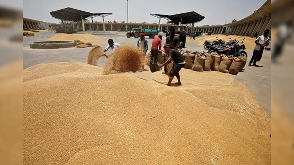 10 मार्च से FCI केन्द्रों पर शुरू होगी गेहूं की खरीद, MSP पर राजस्थान सरकार अलग से देगी इतना ...