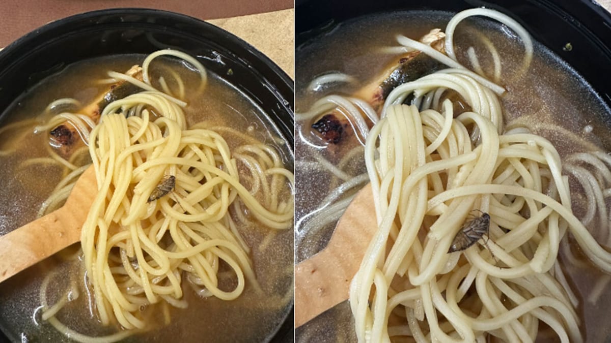 Zomato Customer Finds Cockroach In Her Japanese Miso Ramen-Chicken ...