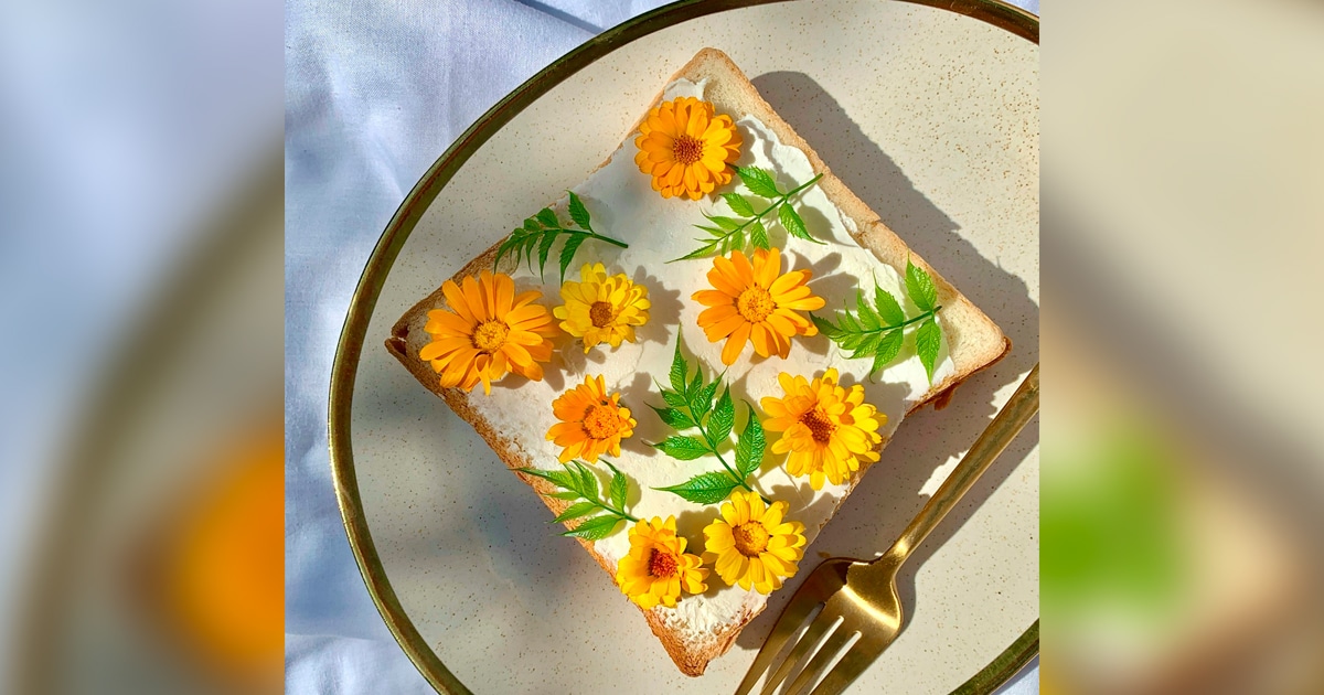 7 Tips To Master The Art Of Plating