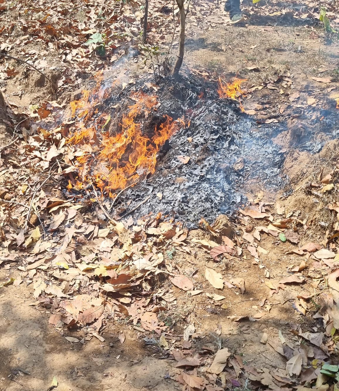 Pressure Cooker With 2 Kg Of Explosives: How A Maoist Ambush Plan Was ...