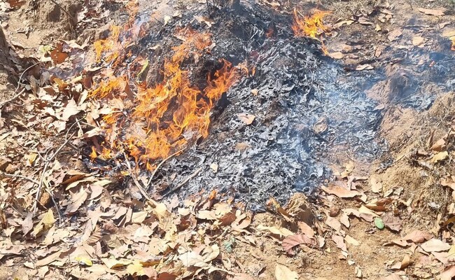 Pressure Cooker With 2 Kg Of Explosives: How A Maoist Ambush Plan Was ...