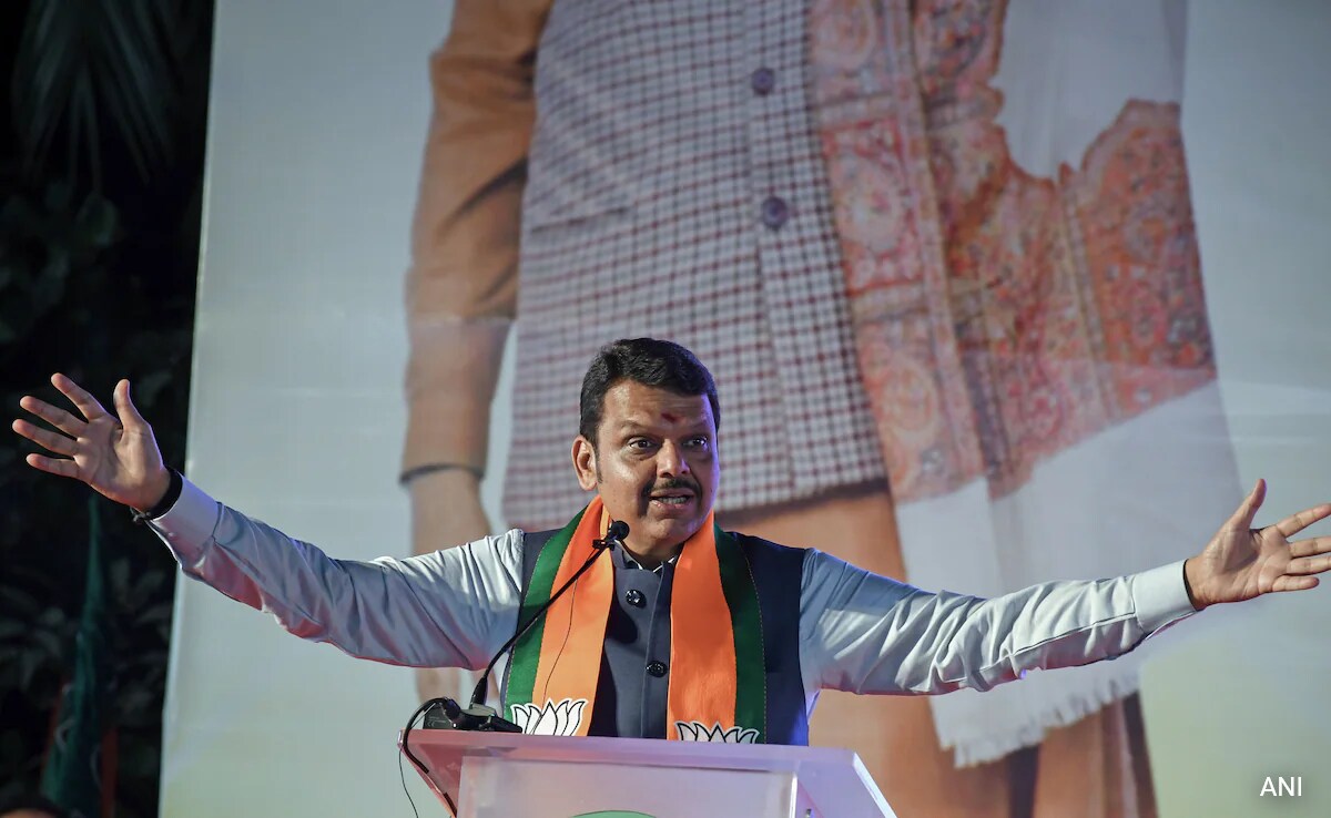 BJP Has Strategic Alliance With NCP, Emotional One With Shiv Sena: Devendra Fadnavis