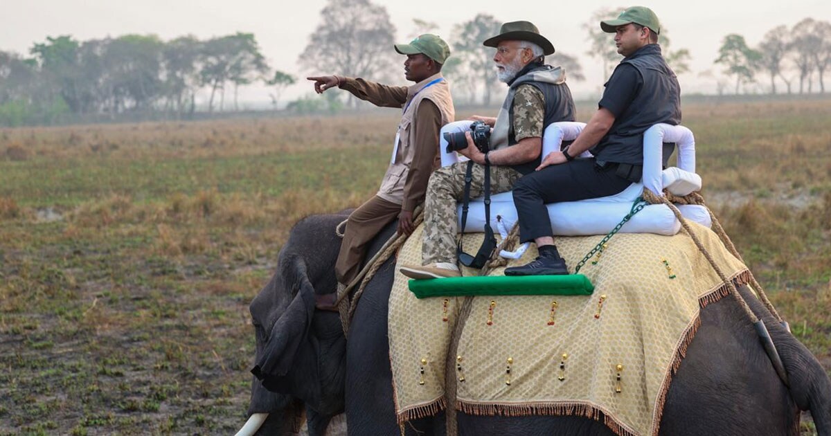 PM Narendra Modi's Elephant Safari At Assam's Kaziranga National Park ...