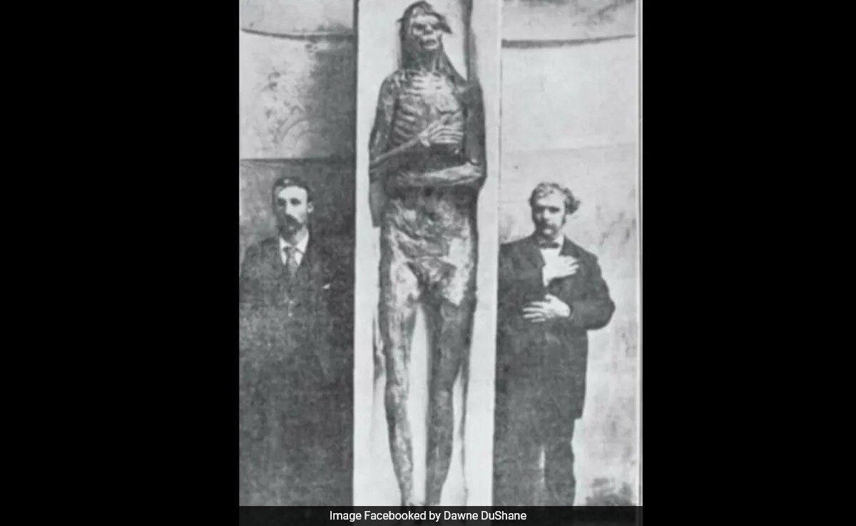 Archaeologists Investigate Claims Of Giant Skeletons In Nevada Caves Of US Archaeologists Investigate Claims Of Giant Skeletons In Nevada Caves Of US