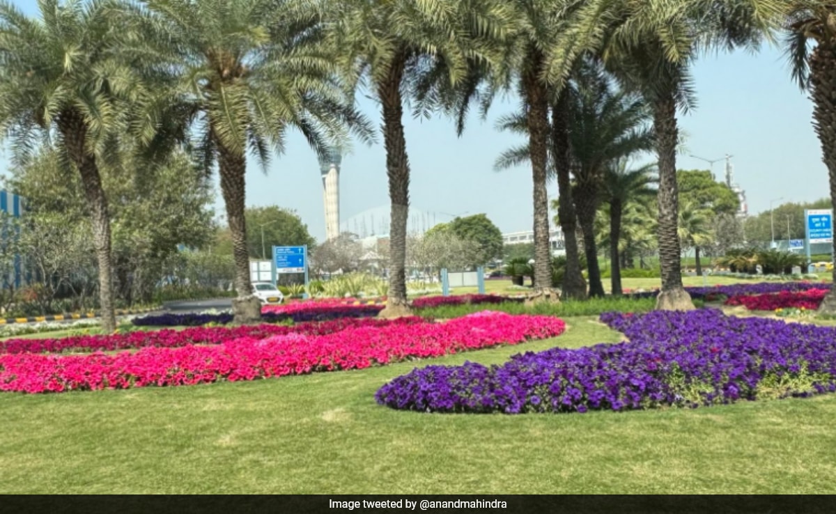 ''Green Benchmark'': Anand Mahindra Shares Pics Of Gardens Near Delhi ...