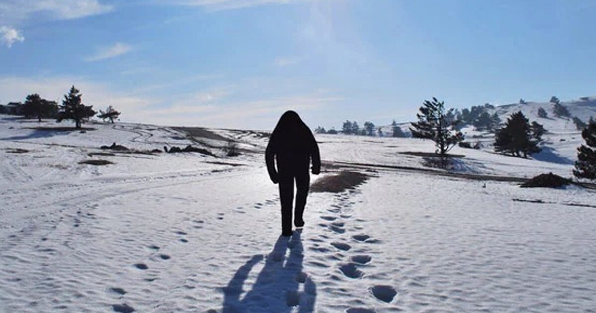 Top 5 Myths And Urban Legends