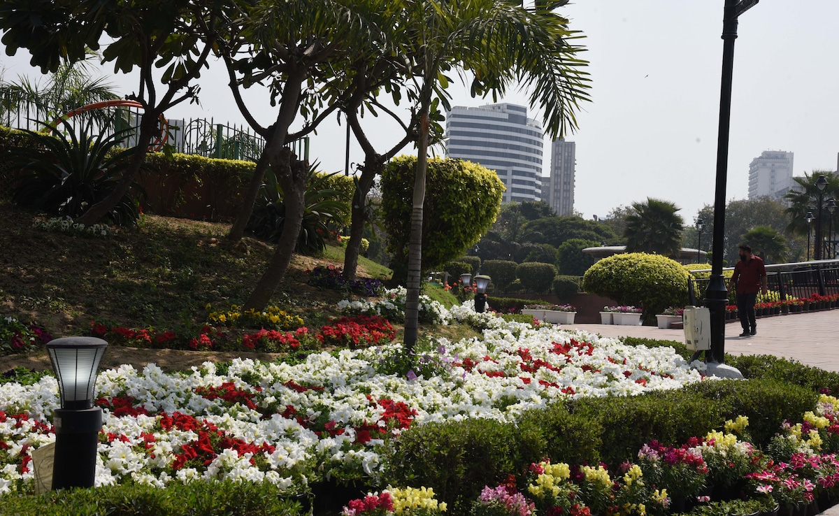 In Pics: Delhi Adorned With Colourful Flowers As Spring Arrives